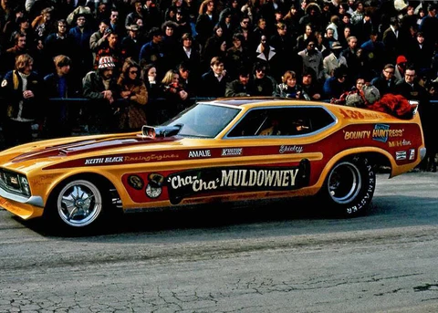 American Muscle Divas - manstuff